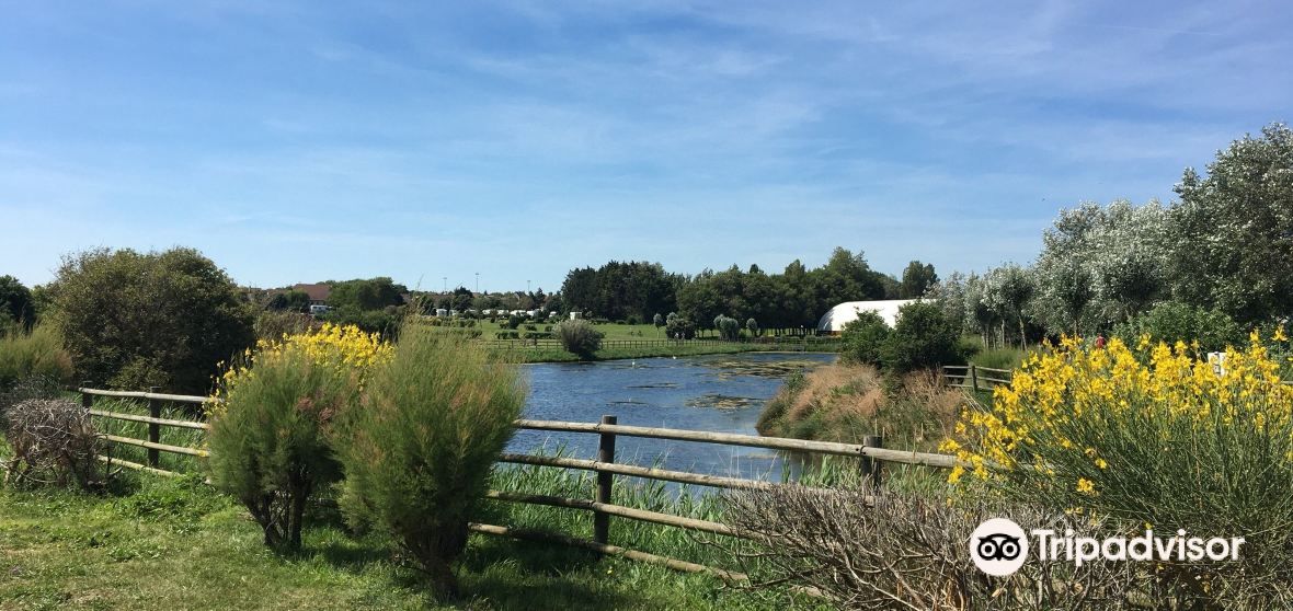 Courseulles-sur-Mer Travel Guide 2024 - Things to Do, What To Eat ...