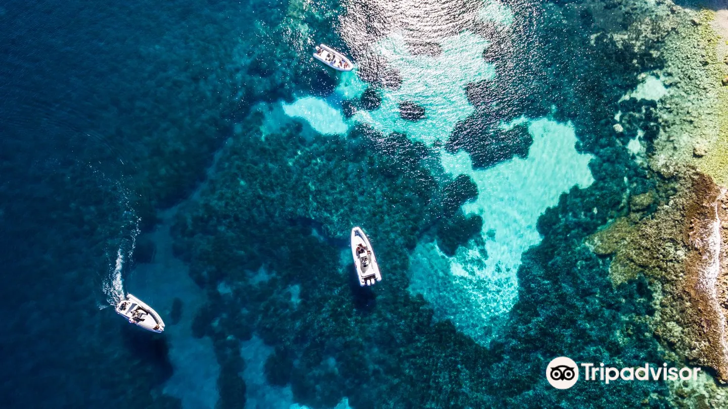 Mare and More Tickets [2025] - Promos, Prices, Reviews & Opening Hours ...