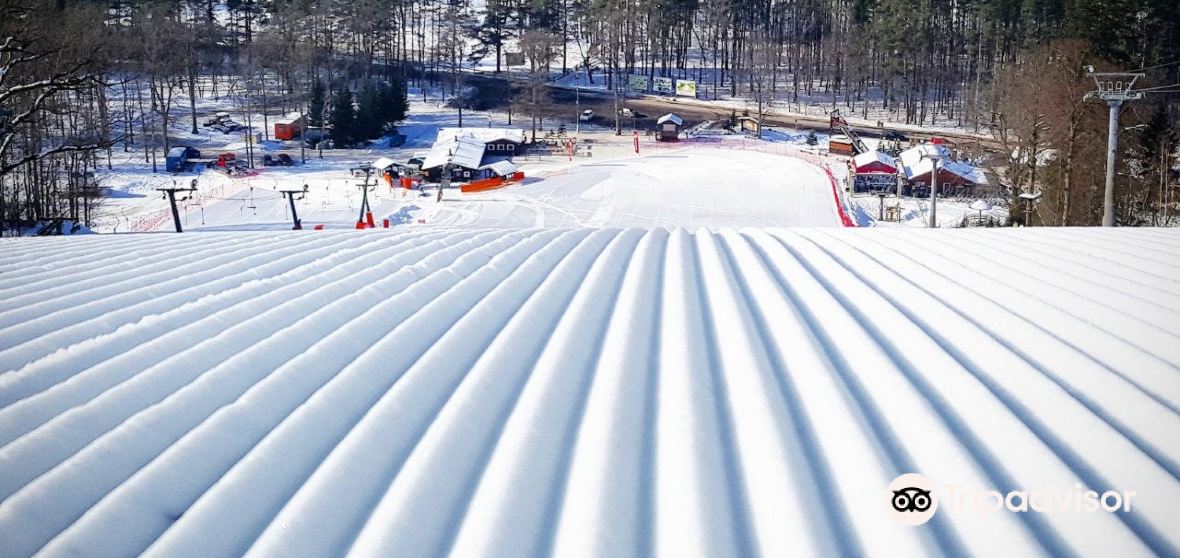 Things to do in Siguldas pilseta (2025): Top nearby activities,popular ...