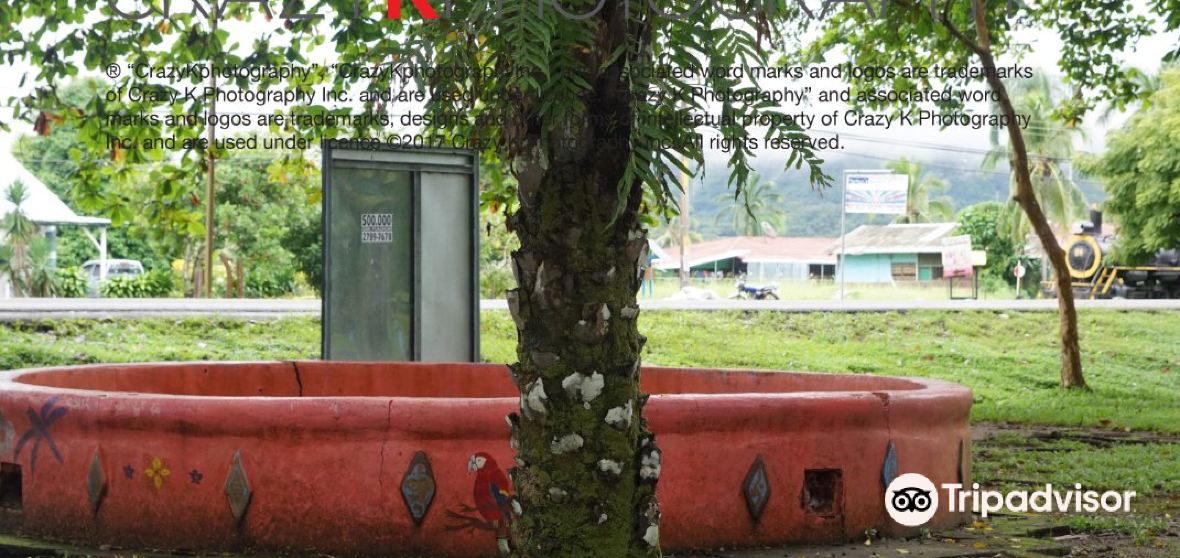 Things to do in Palmar Sur (2025): Top nearby activities,popular ...