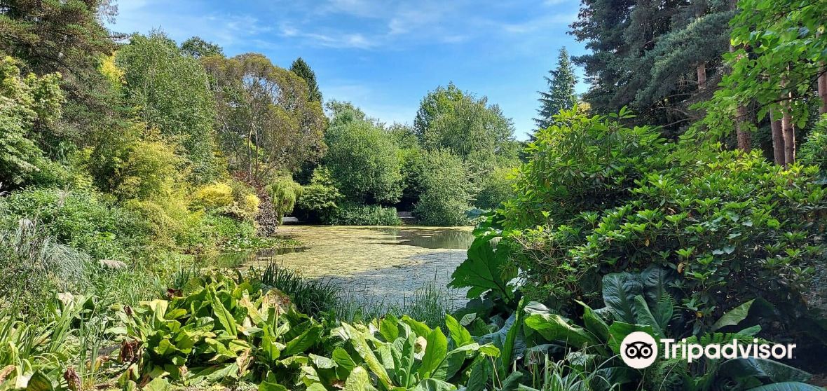 เที่ยวTrewern (2024) - ที่เที่ยวใน Trewern, กิจกรรมสนุกๆ, โรงแรม ...