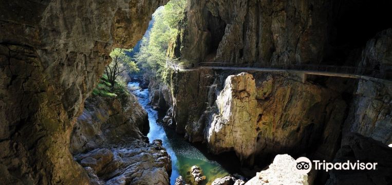 Sezana Travel Guide 2026: Top Attractions, Things to Do & Deals | Trip ...