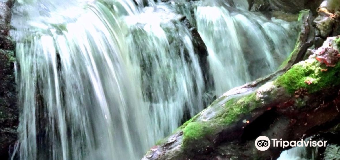 คู่มือเที่ยวGargarด้วยตัวเอง (2025): สุดยอดกิจกรรมน่าสนใจใกล้คุณ ...