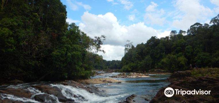 Segamat Travel Guide 2025: Top Attractions, Things to Do & Deals | Trip ...