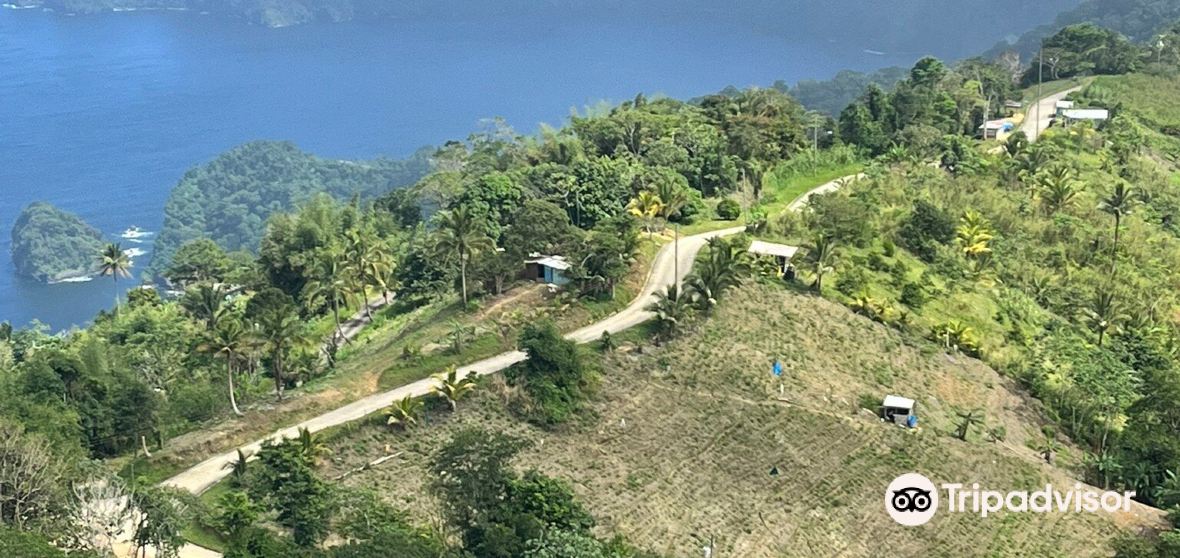 La Finette Travel Guide 2024 - Things to Do, What To Eat & Tips | Trip.com