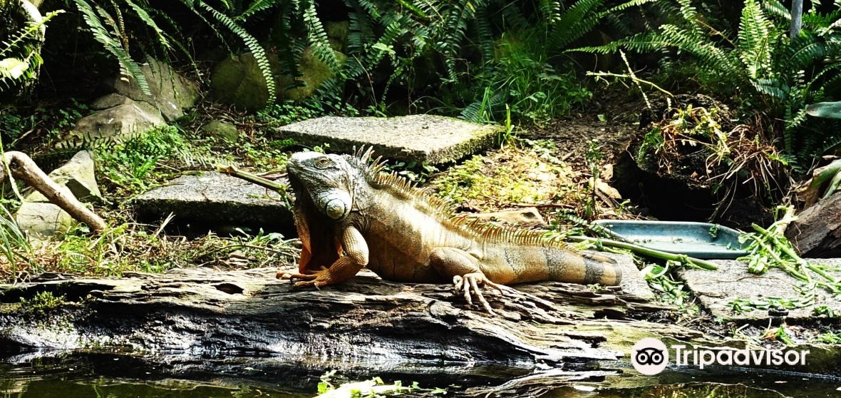 Things to do in Ti Point (2025): Top nearby activities,popular ...