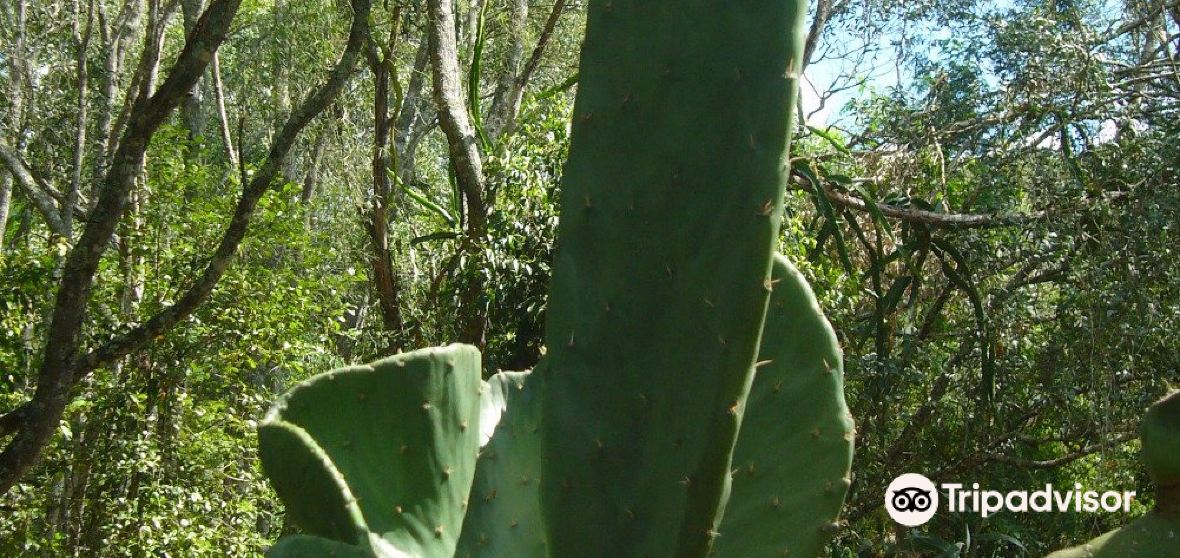 East Nanango Travel Guide 2024 - Things to Do, What To Eat & Tips ...