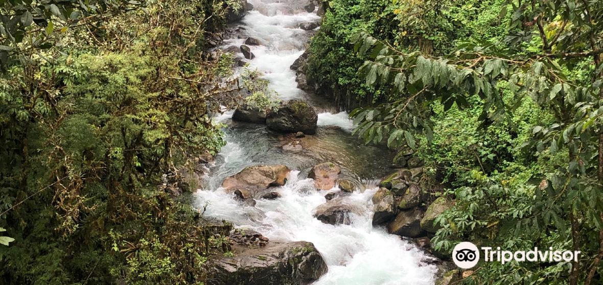 Things to Do in Rivas in 2025 - Top Attractions, Local Food, Hotels ...