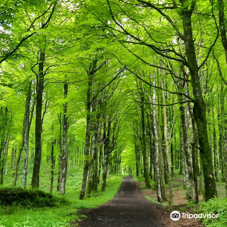 10 CLOSEST Hotels Near the ramparts (access from Slane Bridge south ...