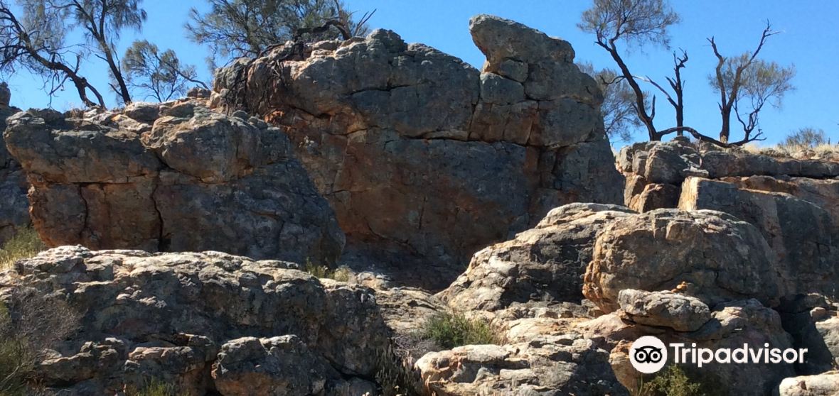 Watheroo independent travel guide (2025): top things to do near you ...