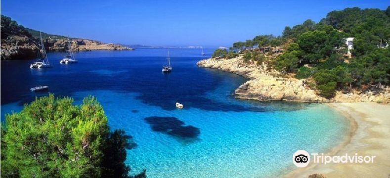 Hotels in der Nähe von Strand Cala Vidre, LAmetlla de Mar