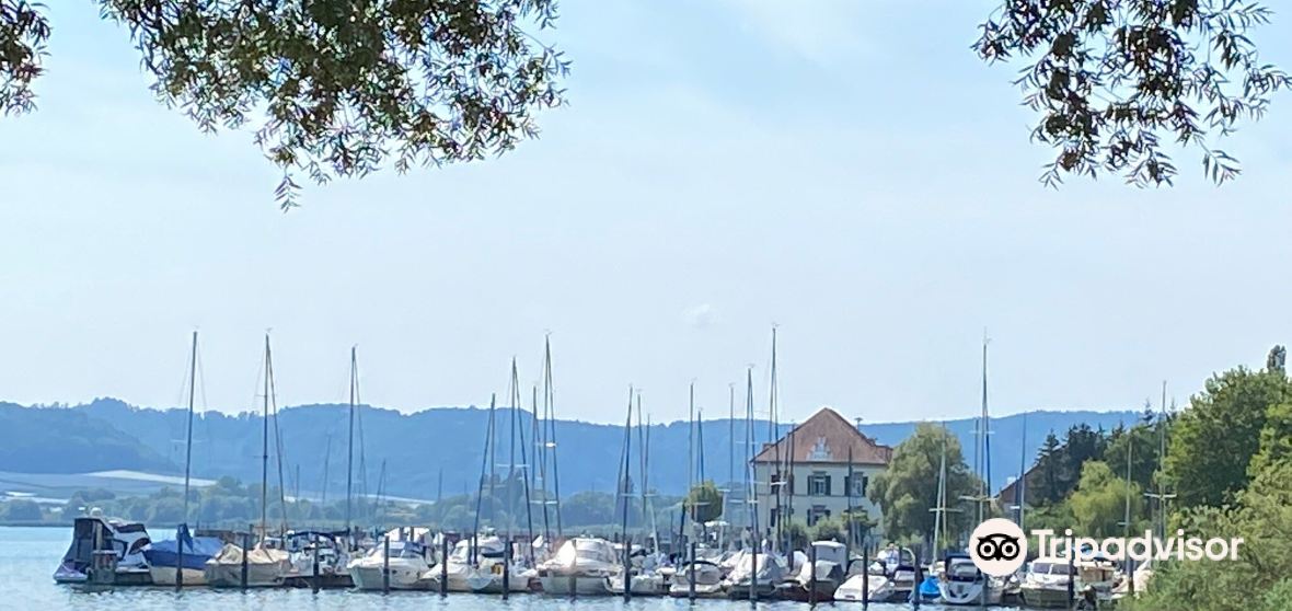 Things to Do in Bodman-Ludwigshafen in 2024 - Top Attractions, Local ...