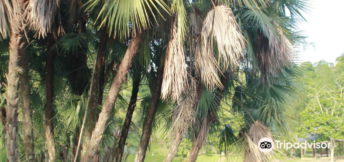 Things to Do in Couva in 2024 - Top Attractions, Local Food, Hotels ...