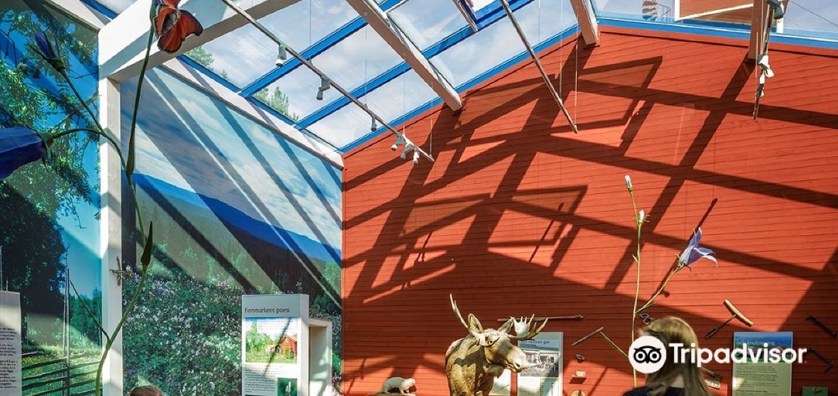 Things to do in Leksand Municipality (2025): Top nearby activities ...