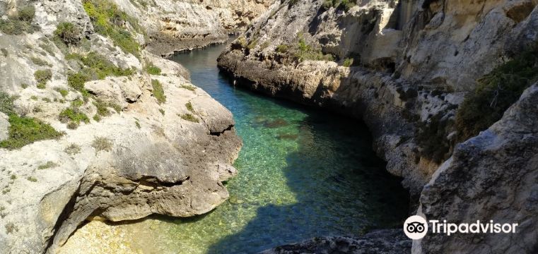 Ghasri Travel Guide 2024 - Things to Do, What To Eat & Tips | Trip.com