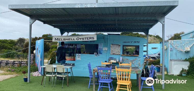 Dolphin Sands Travel Guide 2026: Top Attractions, Things to Do & Deals ...