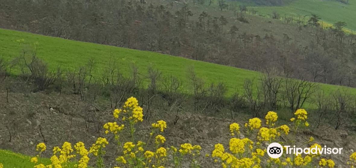 Marano sul Panaro Travel Guide 2024 - Things to Do, What To Eat & Tips ...