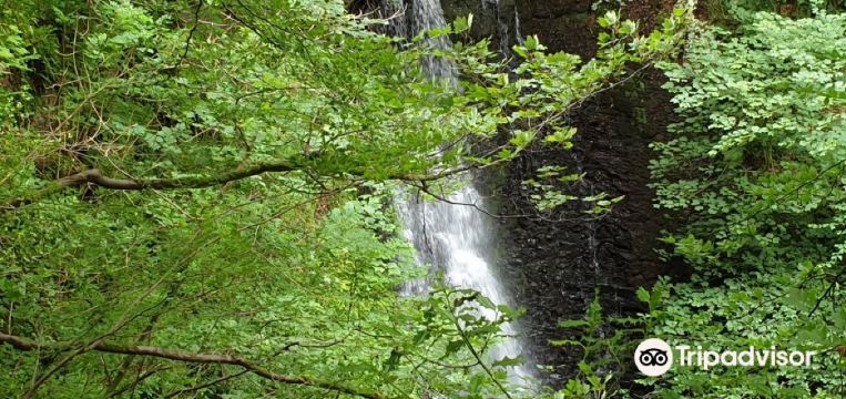 Sneaton Travel Guide 2023 - Things to Do, What To Eat & Tips | Trip.com