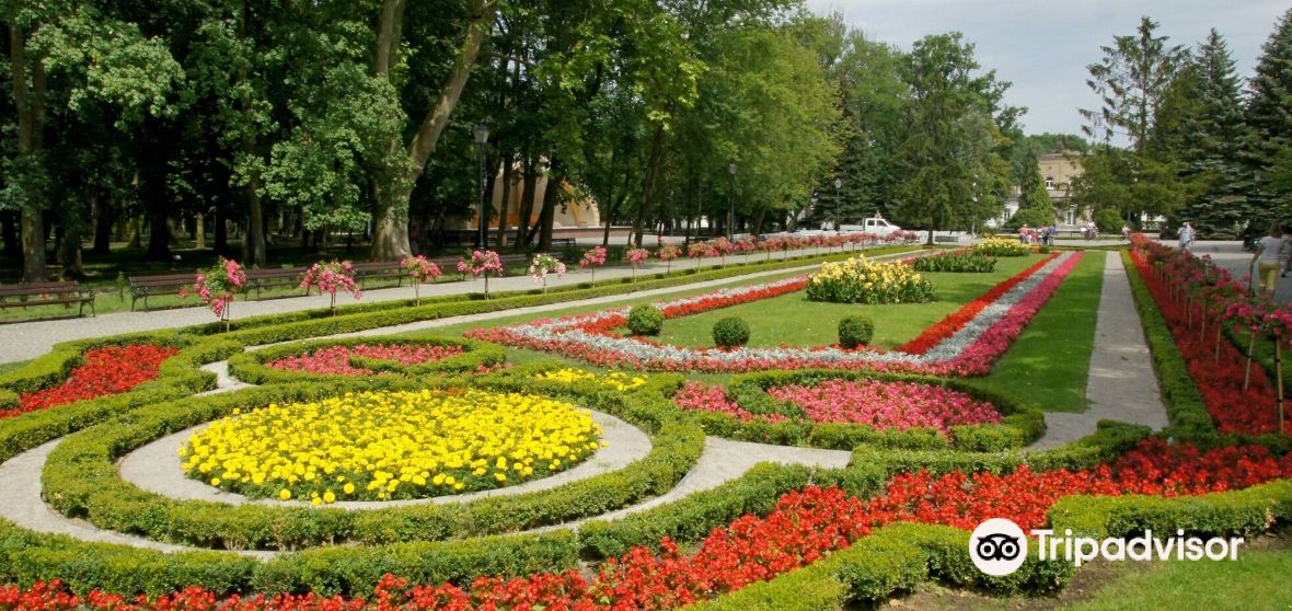 Things to do in Inowroclaw (2025): Top nearby activities,popular ...