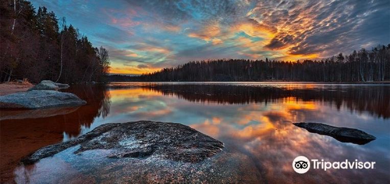 Central Finland Travel Guide 2023 - Things to Do, What To Eat & Tips ...