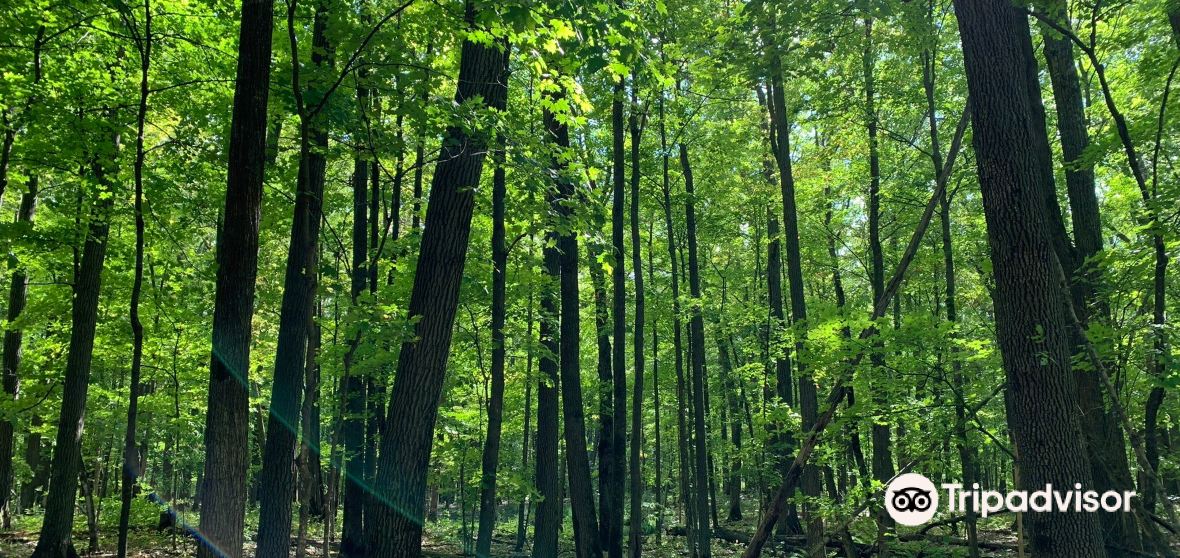 Things to Do in Onamia in 2024 - Top Attractions, Local Food, Hotels ...