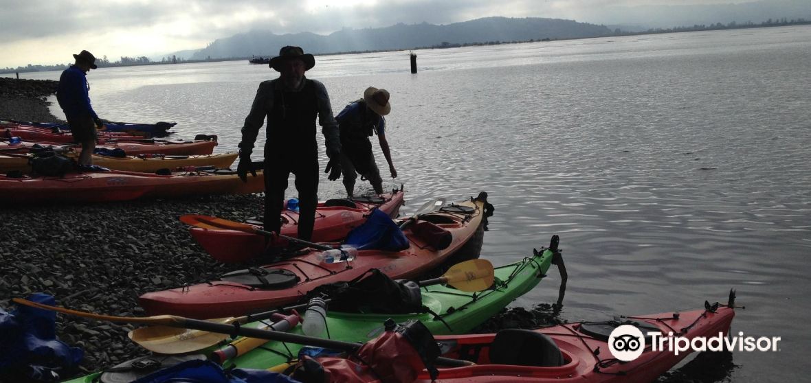 Things to Do in Skamokawa in 2024 - Top Attractions, Local Food, Hotels ...