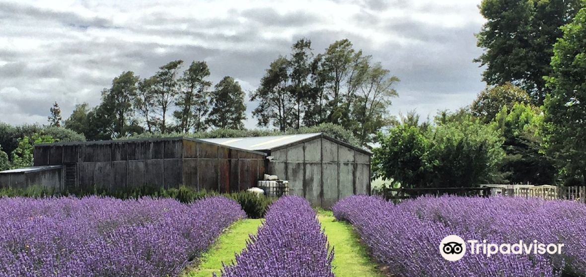 เที่ยวPuketaha (2024) - ที่เที่ยวใน Puketaha, กิจกรรมสนุกๆ, โรงแรม ...
