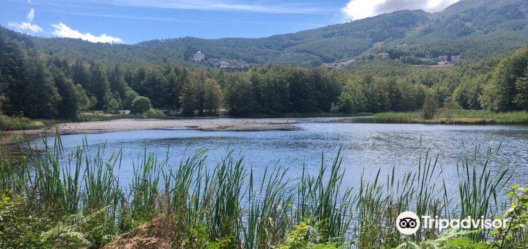 Collagna Travel Guide 2025: Top Attractions, Things to Do & Deals ...