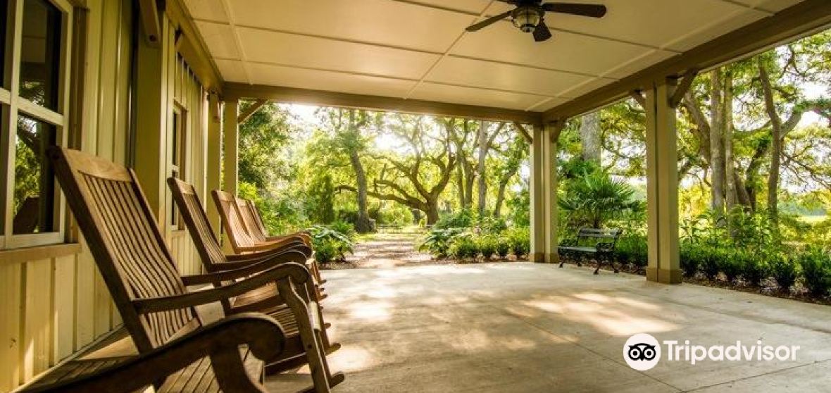 Things to Do in Wadmalaw Island in 2024 - Top Attractions, Local Food ...