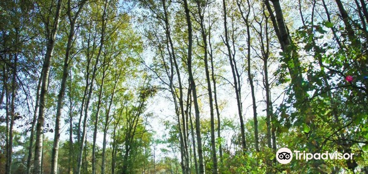 Things to Do in Baxter in 2024 - Top Attractions, Local Food, Hotels ...