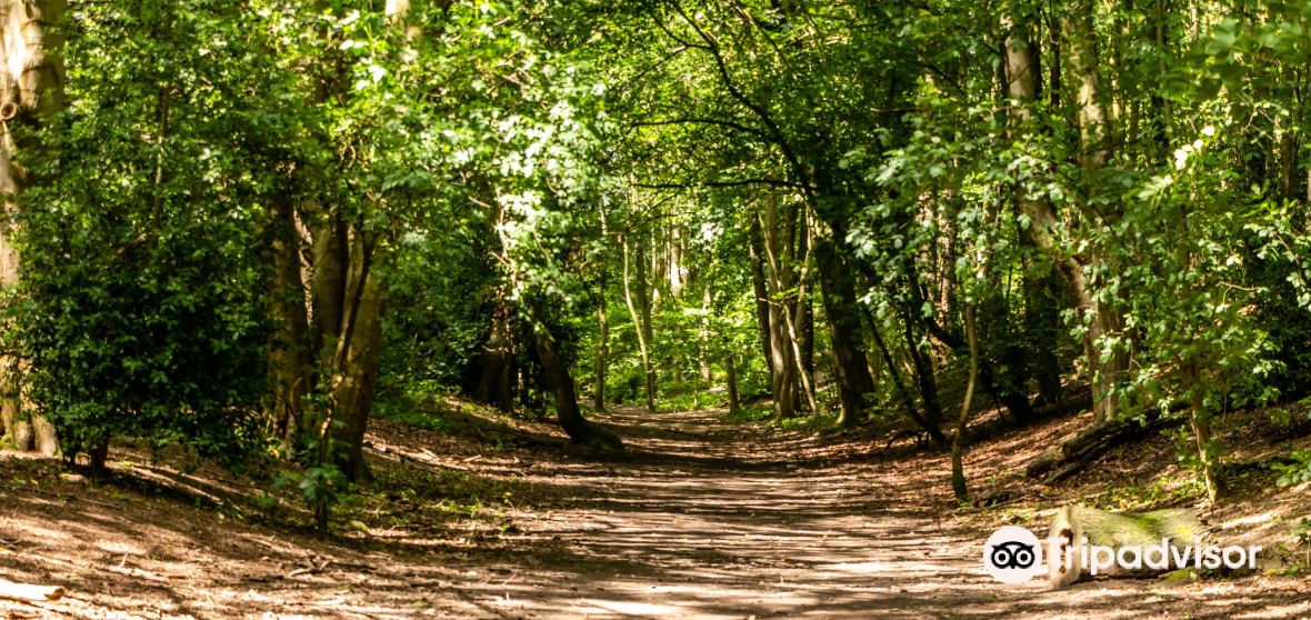 คู่มือเที่ยวMarfordด้วยตัวเอง (2025): สุดยอดกิจกรรมน่าสนใจใกล้คุณ ...