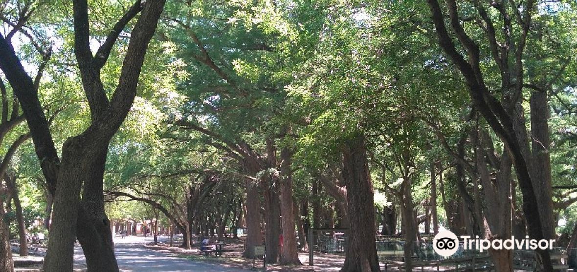 Things to Do in Apodaca in 2024 - Top Attractions, Local Food, Hotels ...