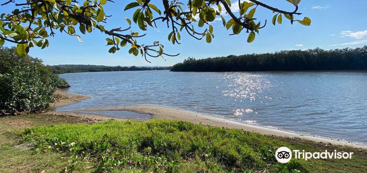 Things to Do in Mtunzini in 2025 - Top Attractions, Local Food, Hotels ...