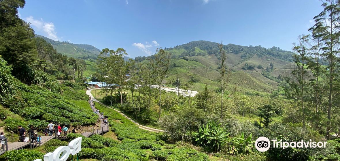 Things to Do in Ulu Telom in 2024 - Top Attractions, Local Food, Hotels ...