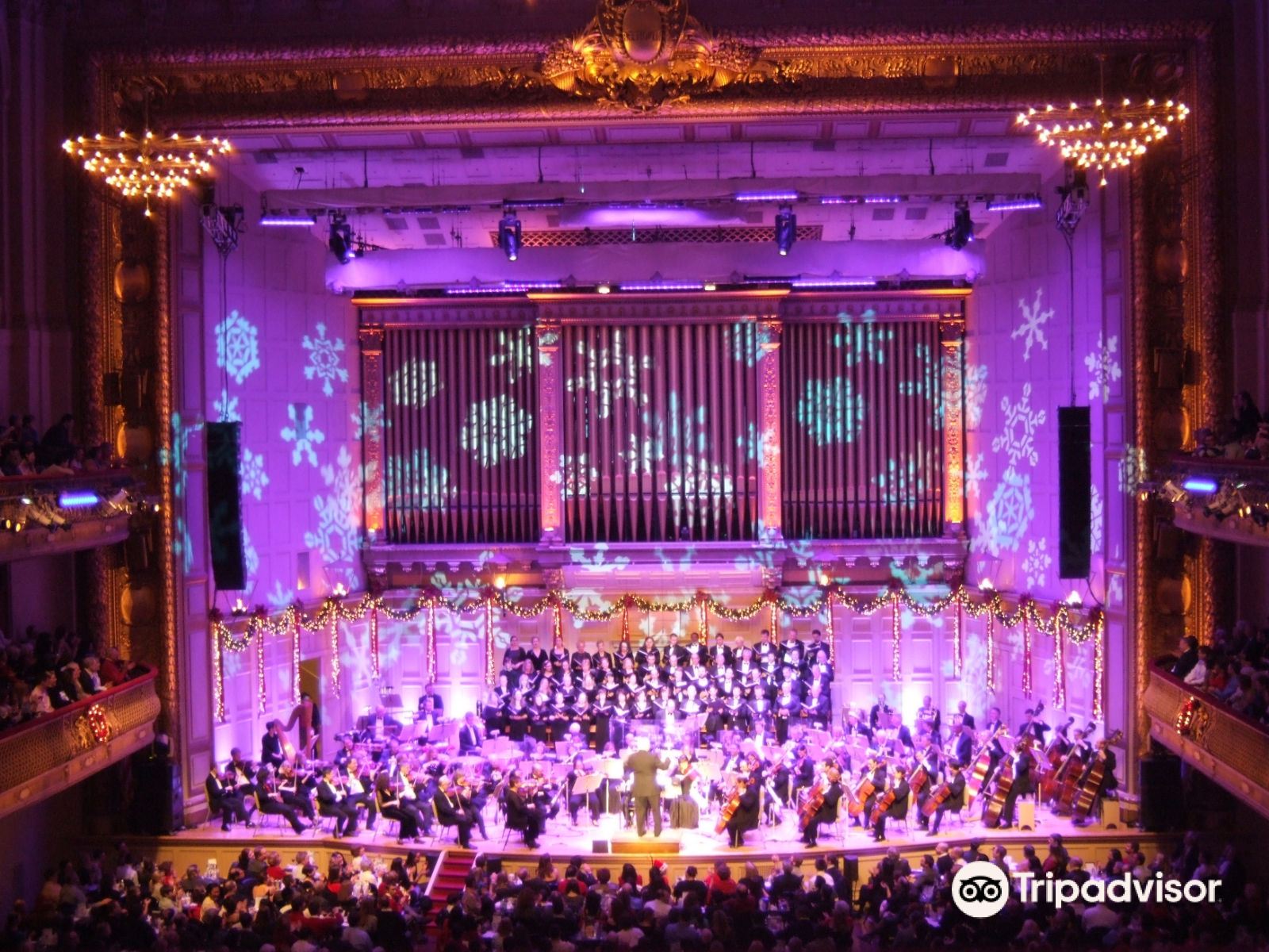 Boston Symphony Hall Interactive Seating Chart | Cabinets Matttroy