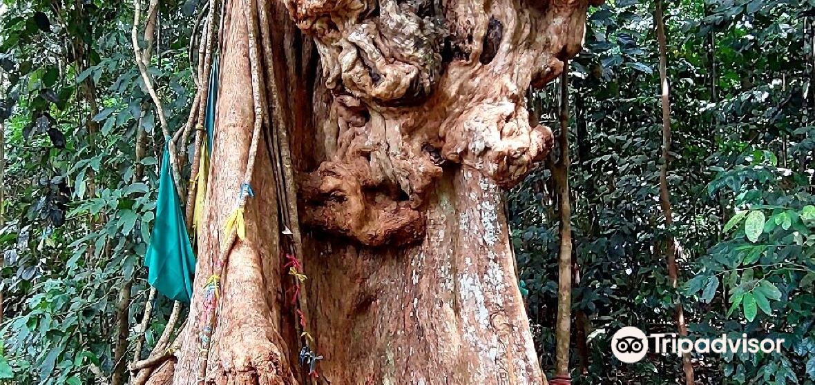 Dumingag Travel Guide 2024 - Things to Do, What To Eat & Tips | Trip.com