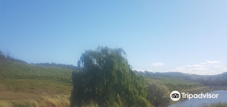 Moondyne Travel Guide 2023 - Things to Do, What To Eat & Tips | Trip.com