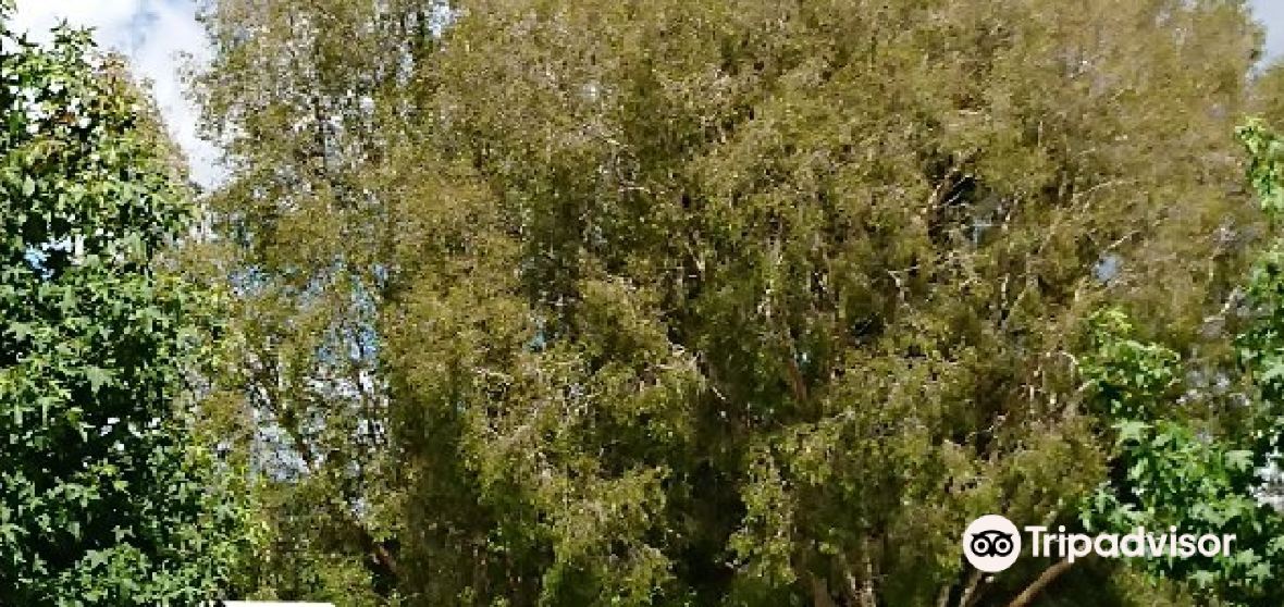 Witta Travel Guide 2024 - Things to Do, What To Eat & Tips | Trip.com