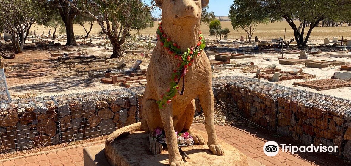 Things to Do in Brookton in 2024 - Top Attractions, Local Food, Hotels ...