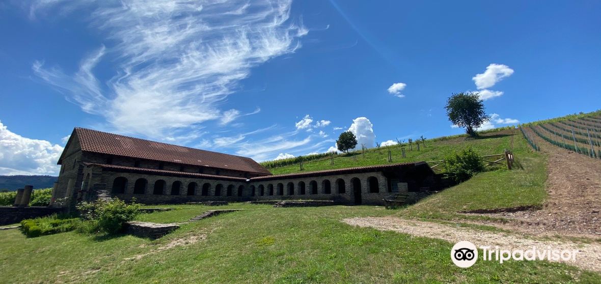 Things to Do in Longuich in 2024 - Top Attractions, Local Food, Hotels ...