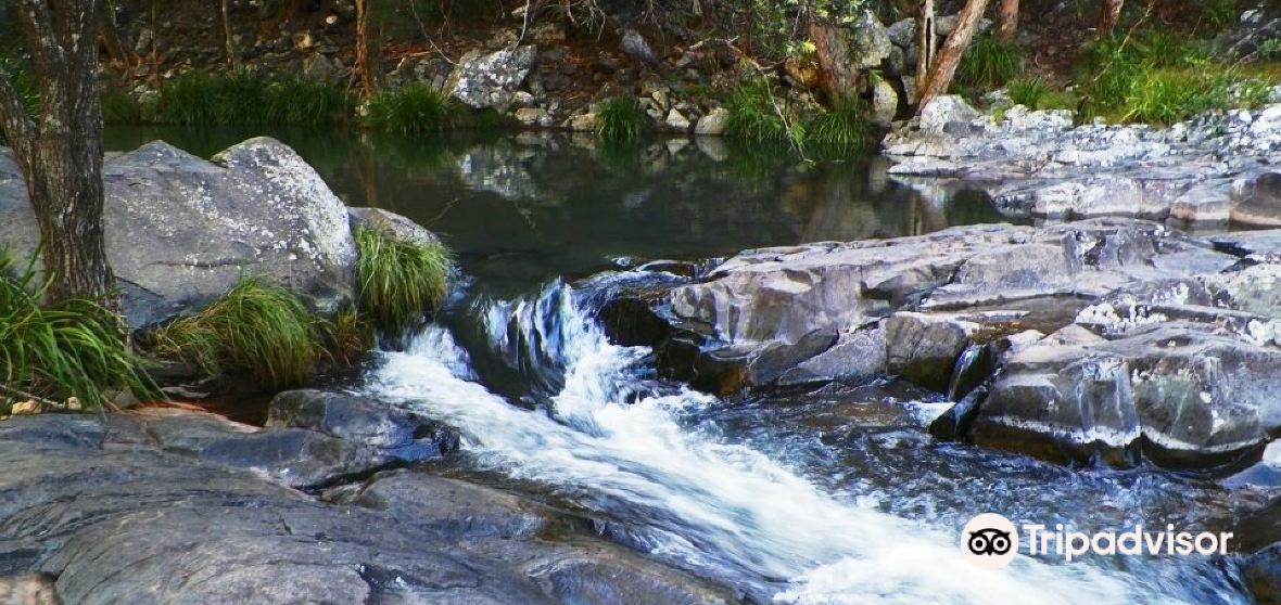 แนะนำการเดินทาง Cedar Creek 2024 - สิ่งที่ควรทำ, อาหารที่ควรรับประทาน ...