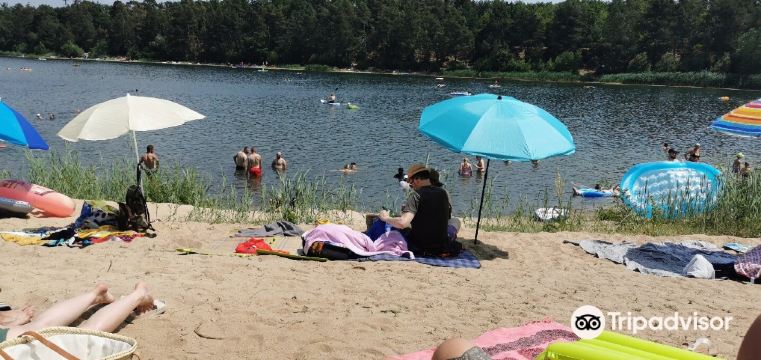 Things to do in Morfelden-Walldorf (2025): Top nearby activities ...