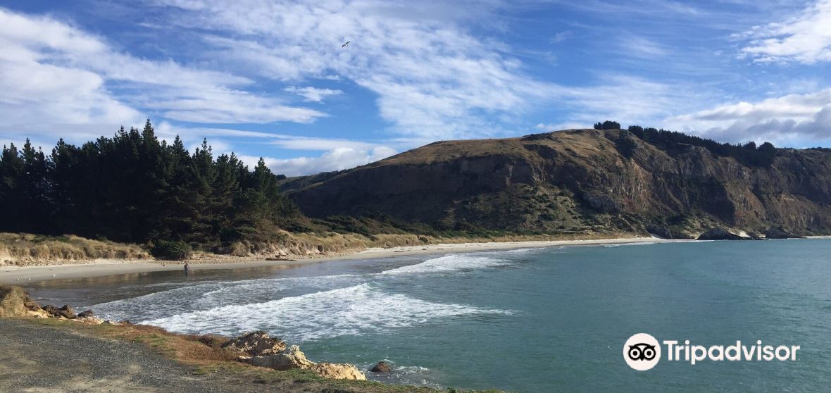 Aramoana的自由行攻略 (2025)：附近的熱門活動、人氣觀光景點、行程安排、住宿、美食、交通、天氣，以及更多旅遊必備資訊 (2025 ...