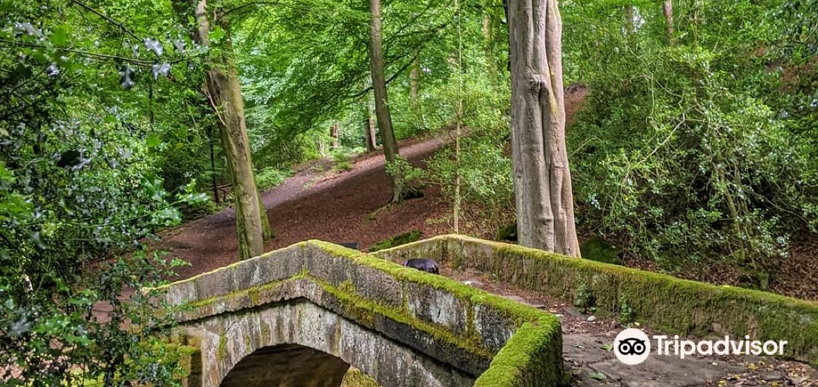 Things to do in Wharncliffe Side (2025): Top nearby activities,popular ...