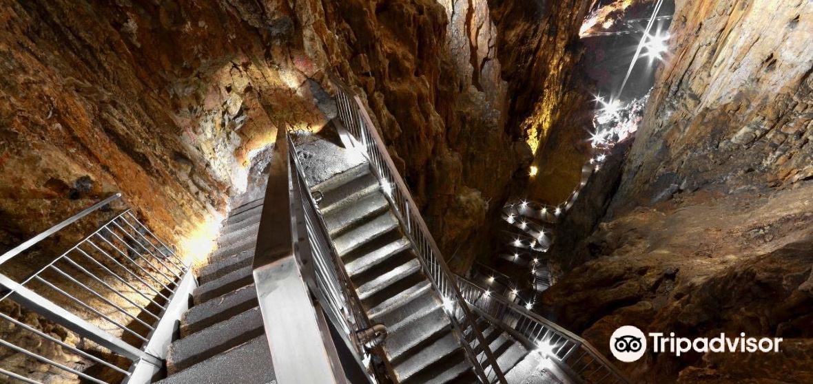 Things to Do in Sgonico in 2024 - Top Attractions, Local Food, Hotels ...