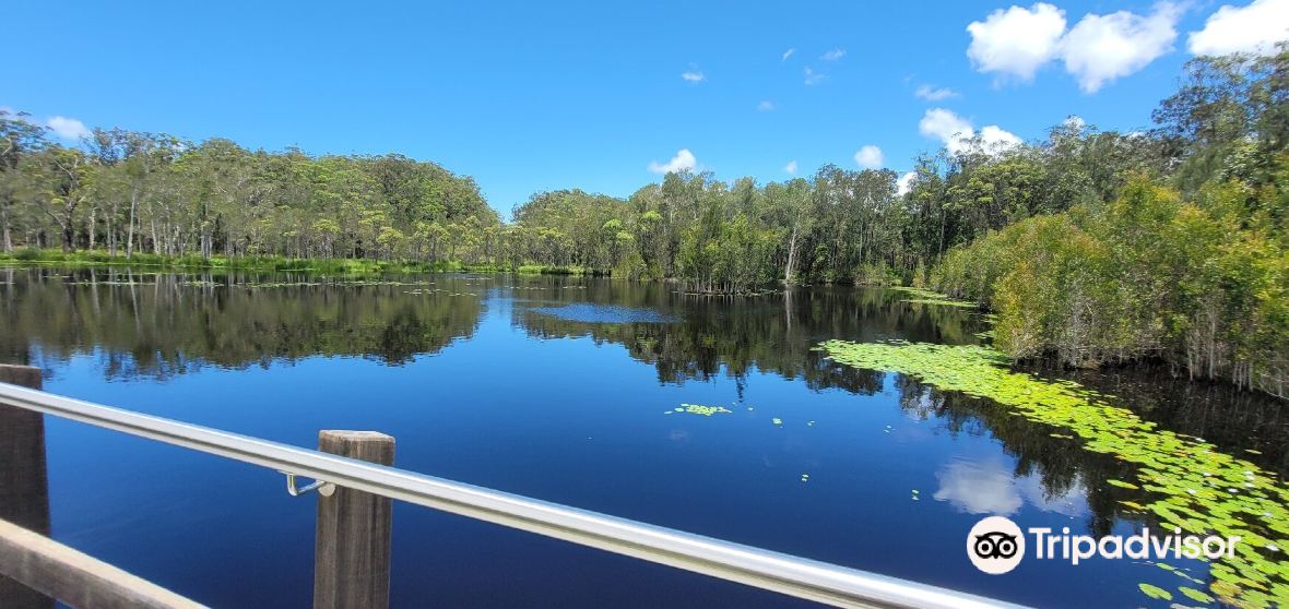 Urunga independent travel guide (2025): top things to do near you ...