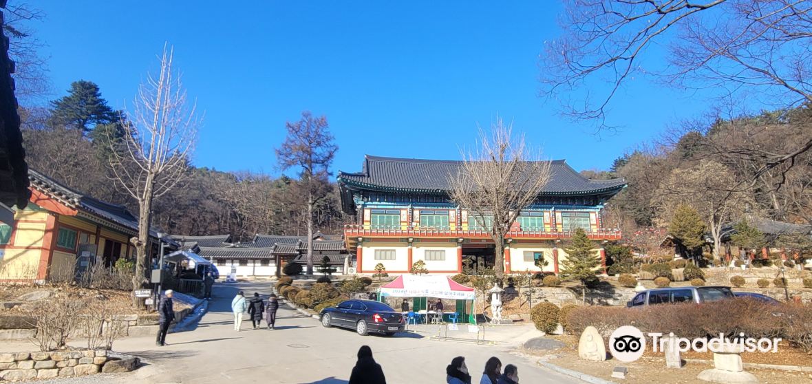 Things to do in Namyangju-si (2025): Top nearby activities,popular ...