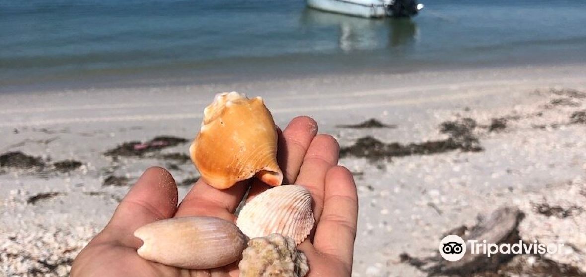 Punta Rassa Travel Guide 2024 - Things to Do, What To Eat & Tips | Trip.com