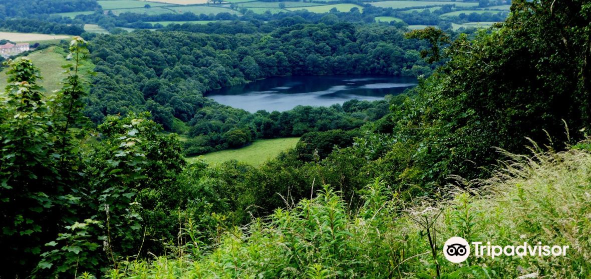 Things to do in Cold Kirby (2025): Top nearby activities,popular ...