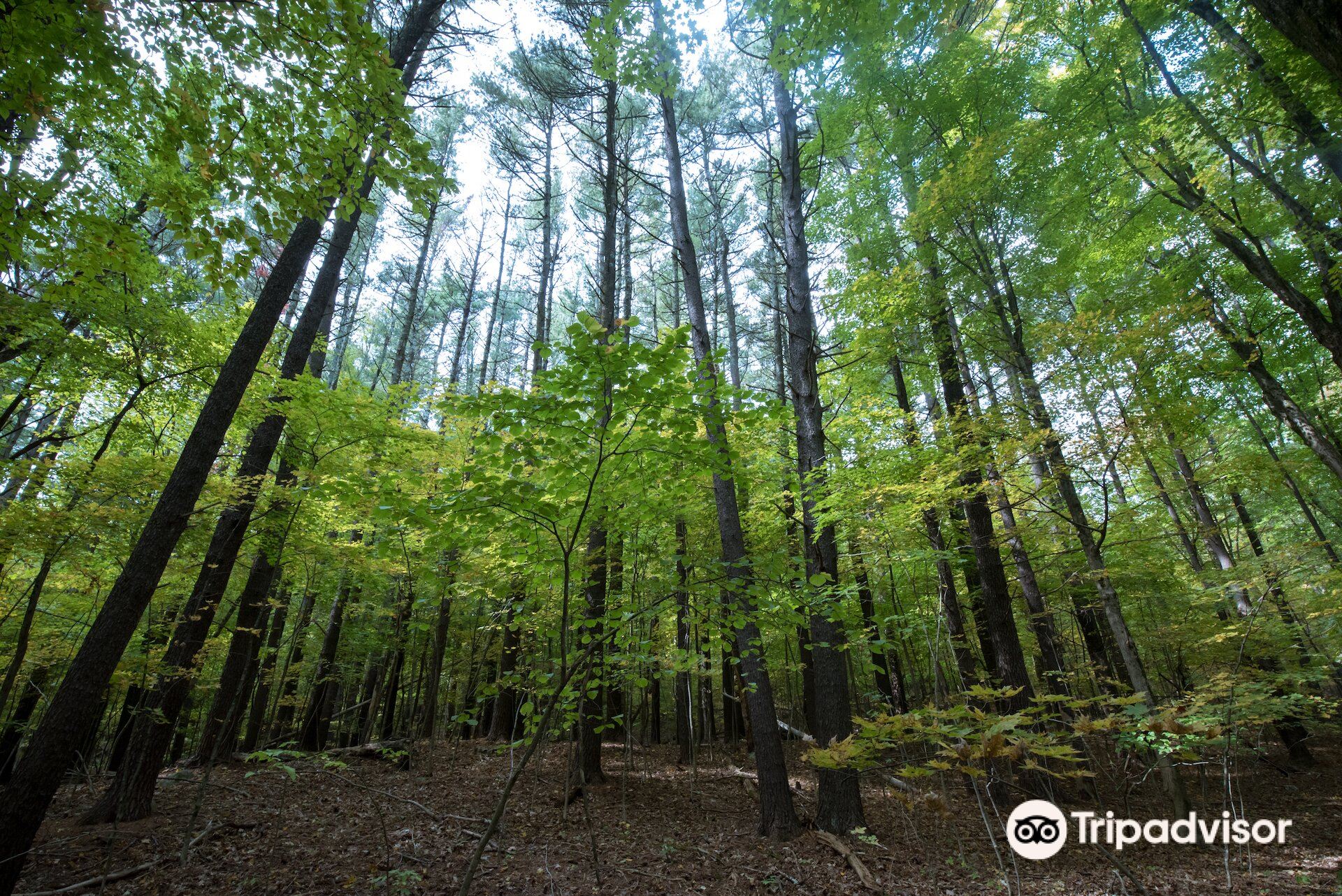 The Old Catskill Game Farm - Abandoned Zoo: ภาพถ่าย, แผนที่ & รีวิว ...